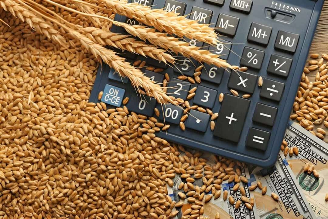 Zarai Mandi - Daily Mandi Prices on WhatsApp