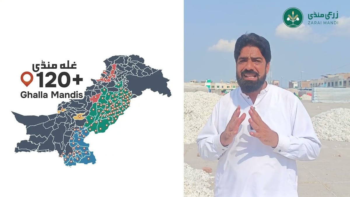 Zarai Mandi - Daily Mandi Prices on WhatsApp